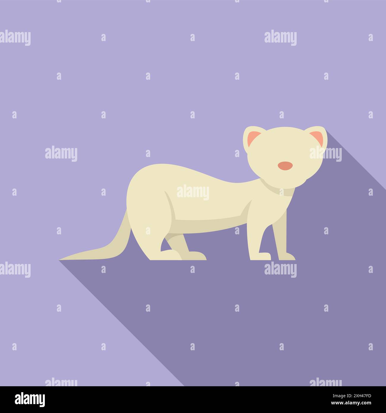 Simple illustration of a white ferret standing on a purple background ...