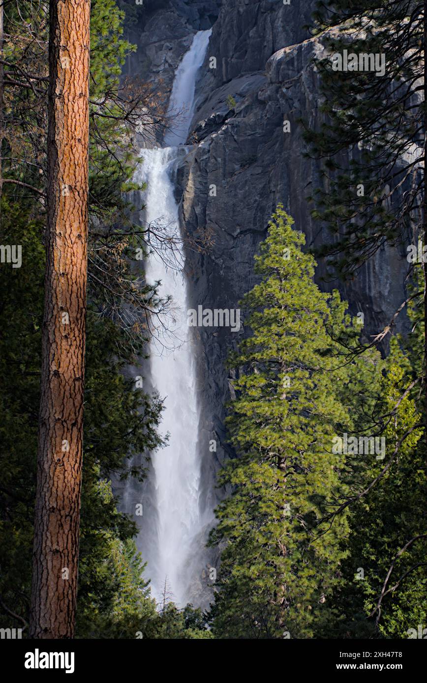 Trees and waterfalls hi-res stock photography and images - Alamy