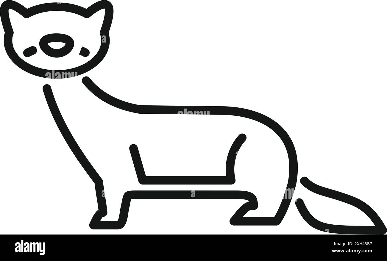 Cartoon ferret drawing Black and White Stock Photos & Images - Alamy