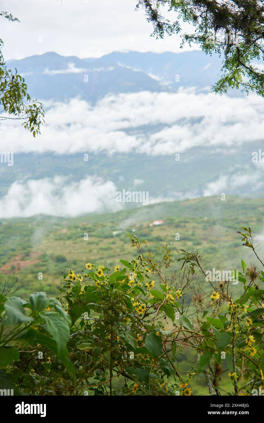 Colombian Andean landscape, mountains, clouds and vegetation, including ...