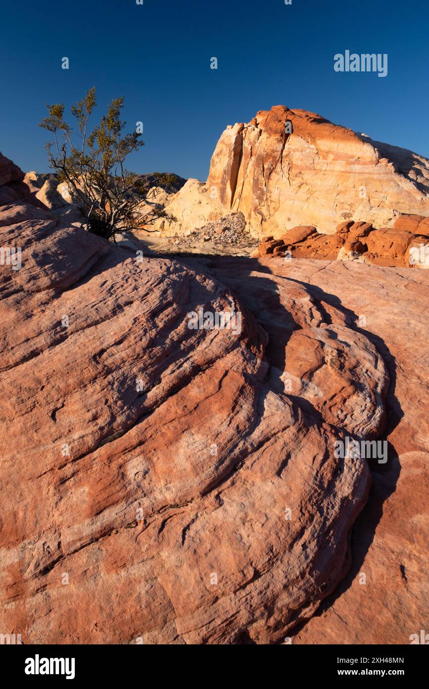 Colorful rock formations in the Nevada desert at Valley of Fire State ...