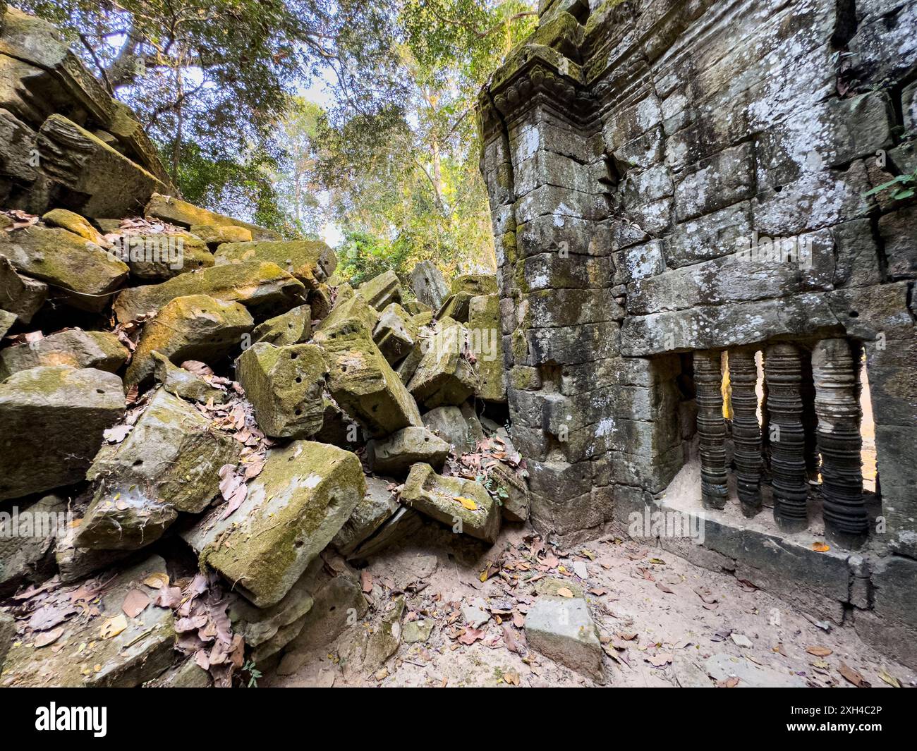 Ta Prohm Temple, a Mahayana Buddhist monastary built in the late 12th ...