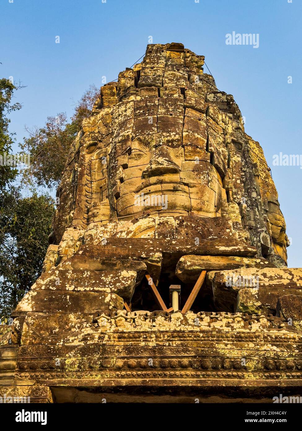 Ta Prohm Temple, a Mahayana Buddhist monastary built in the late 12th ...