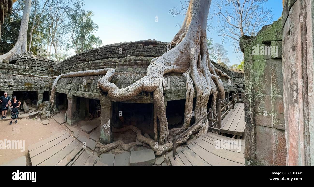 Ta Prohm Temple, a Mahayana Buddhist monastary built in the late 12th ...