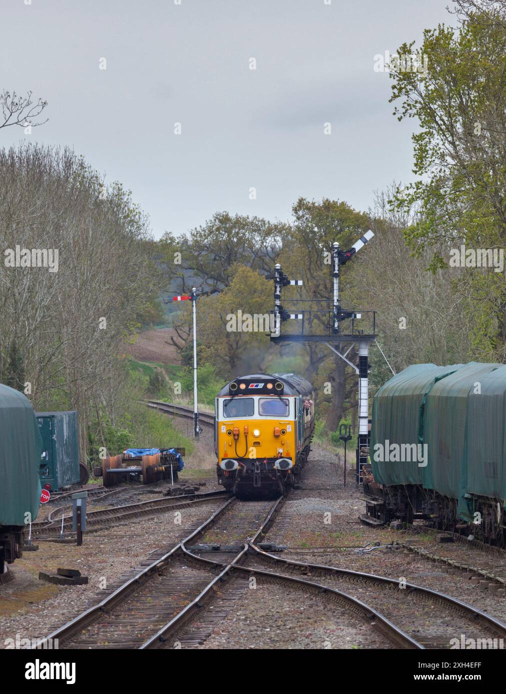 Preserved class 50 diesel locomotive 50017 at Rothley (Great Central ...