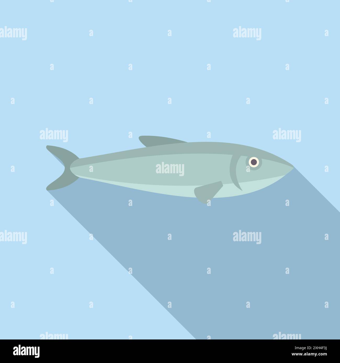 Atlantic herring fish swimming underwater, side view, flat illustration ...