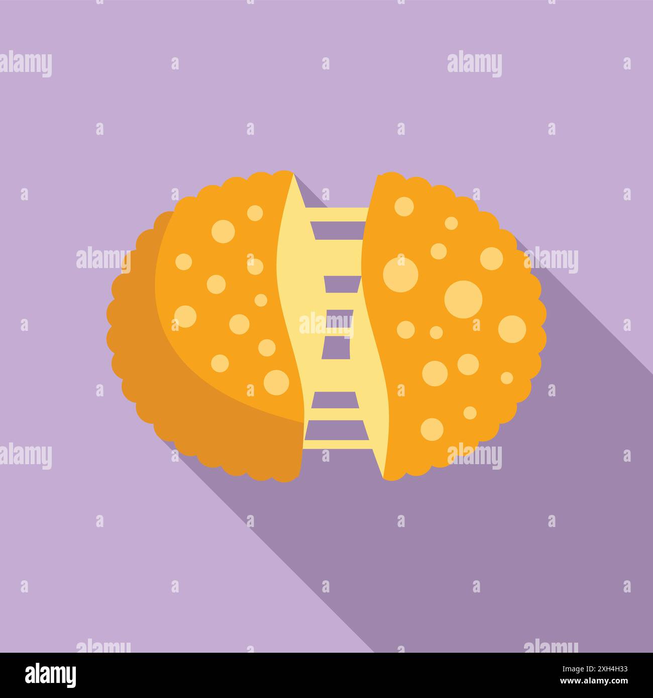 Delicious round cookie split in half showing the creamy filling inside ...