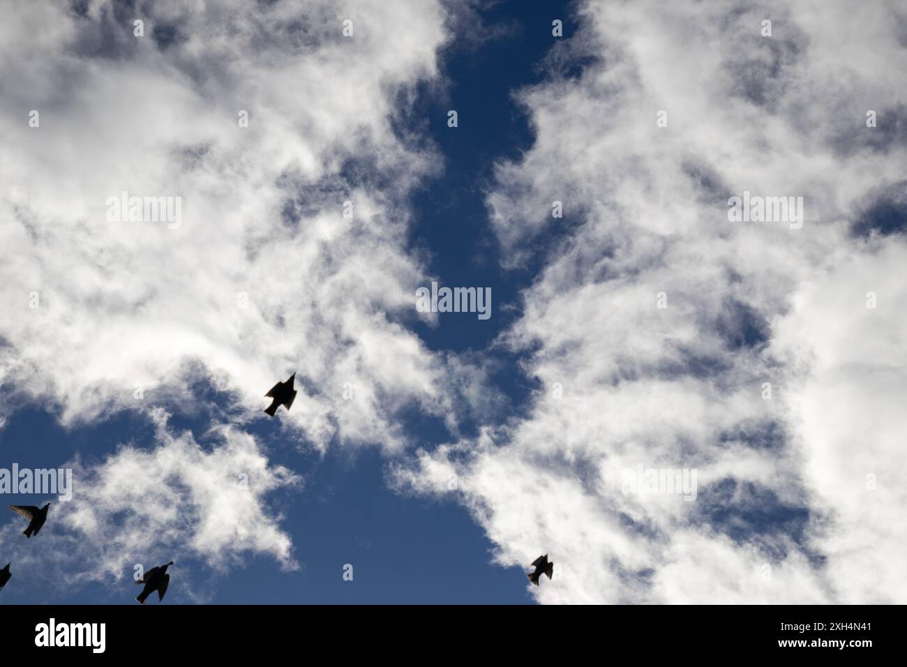 Dynamic pattern in deep hi-res stock photography and images - Alamy