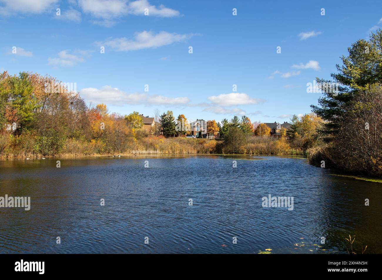 Autumnal lakeside view - vibrant fall foliage against clear blue sky ...