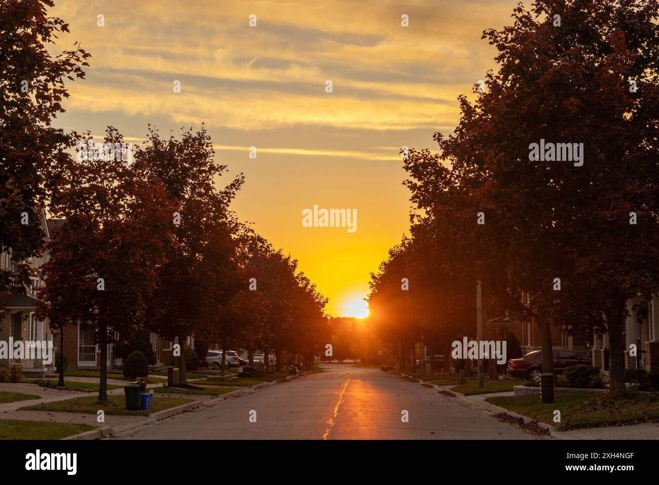 Peaceful suburban view silhouettes trees hi-res stock photography and ...