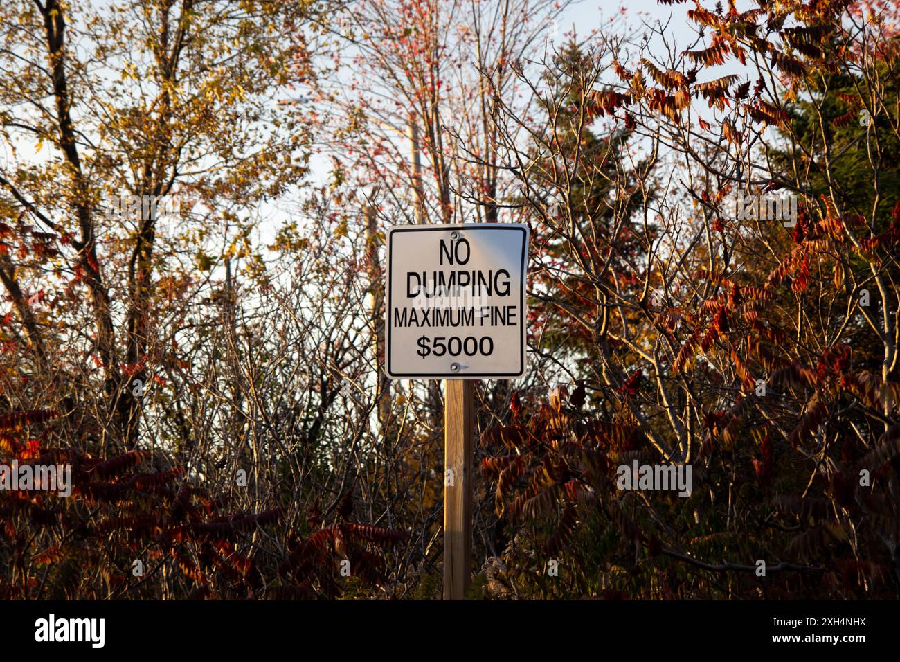 Habitat cleanliness maintenance hi-res stock photography and images - Alamy