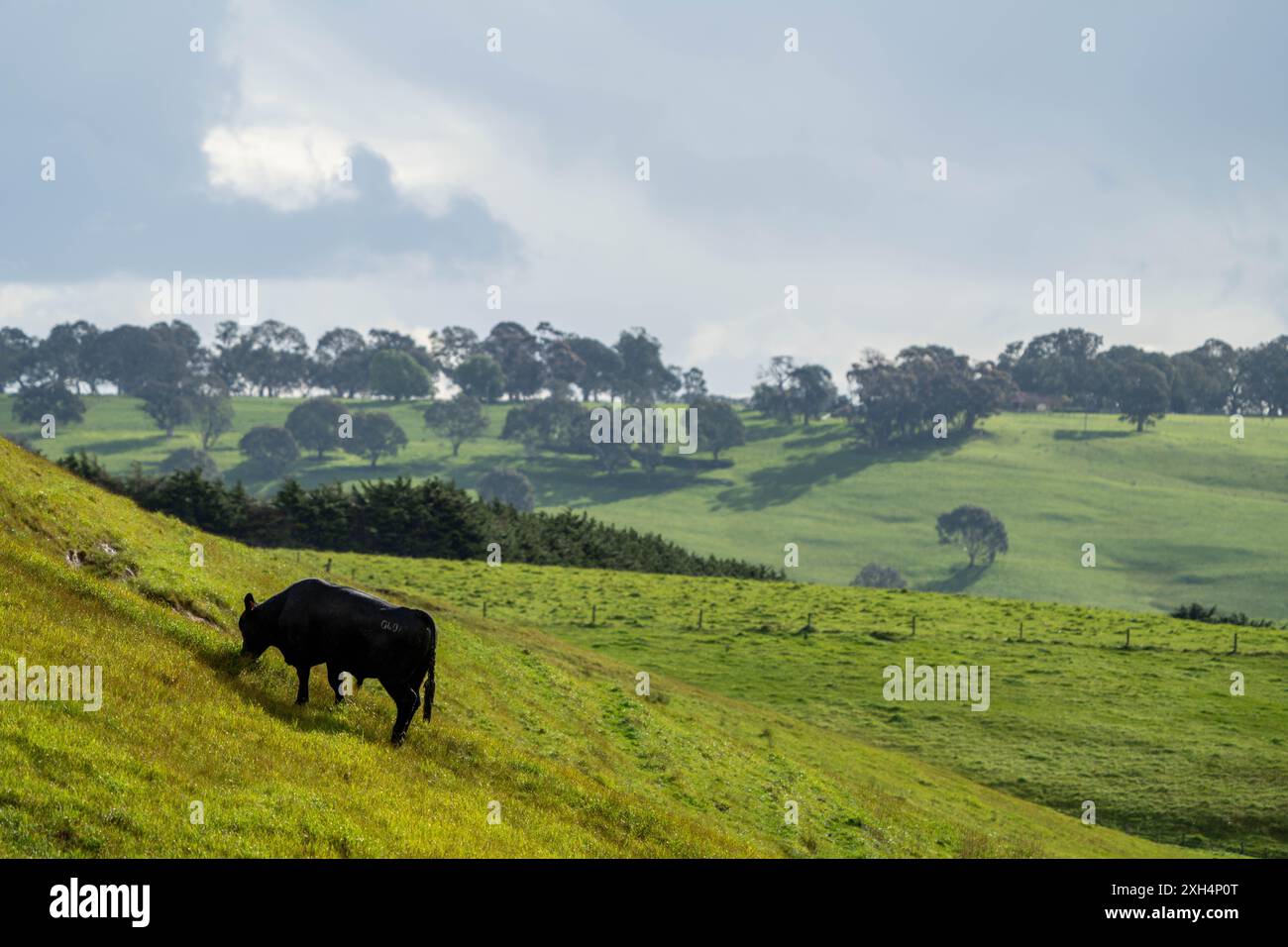 Beautiful farming landscape hi-res stock photography and images - Alamy