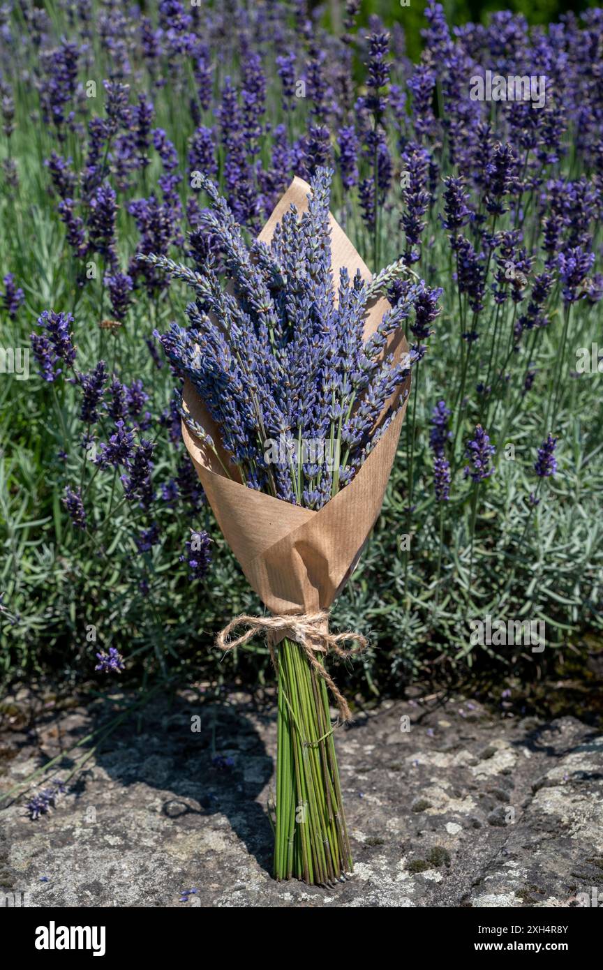 Beautiful handmade paper flowers hi-res stock photography and images ...
