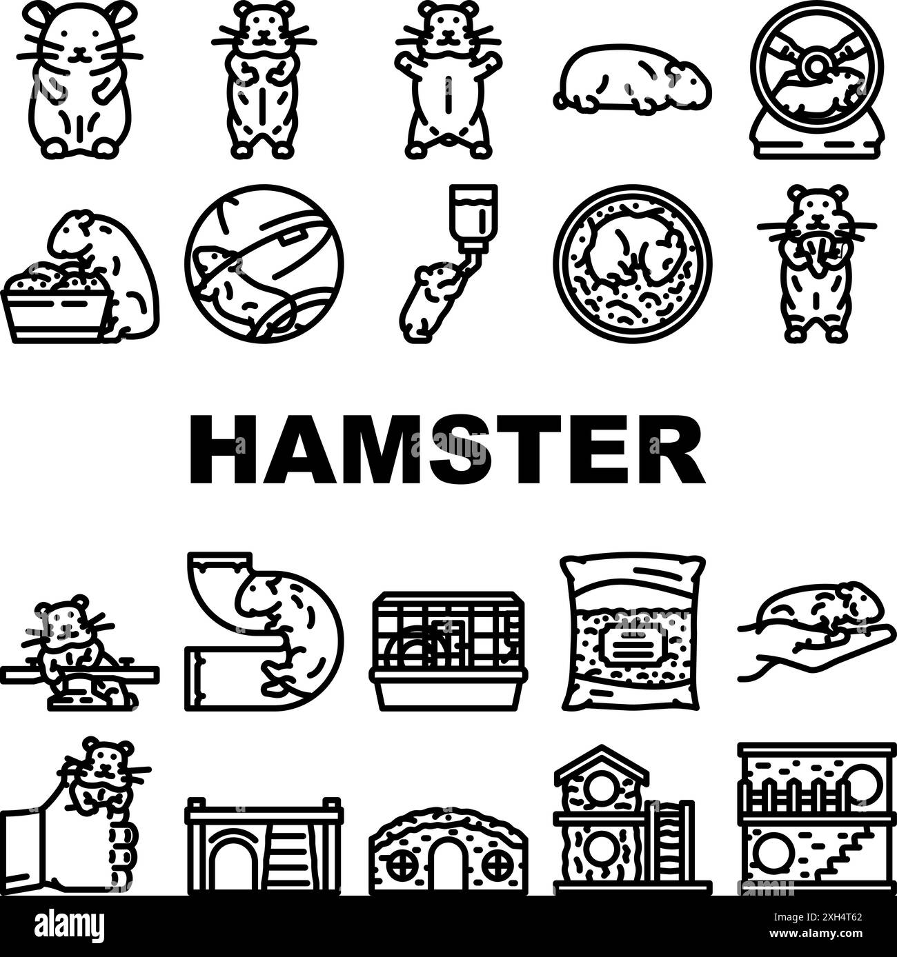 hamster hamster cute app pet coin icons set vector Stock Vector Image ...