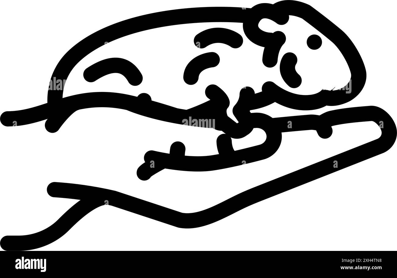 Hamster hand pet line hi-res stock photography and images - Alamy