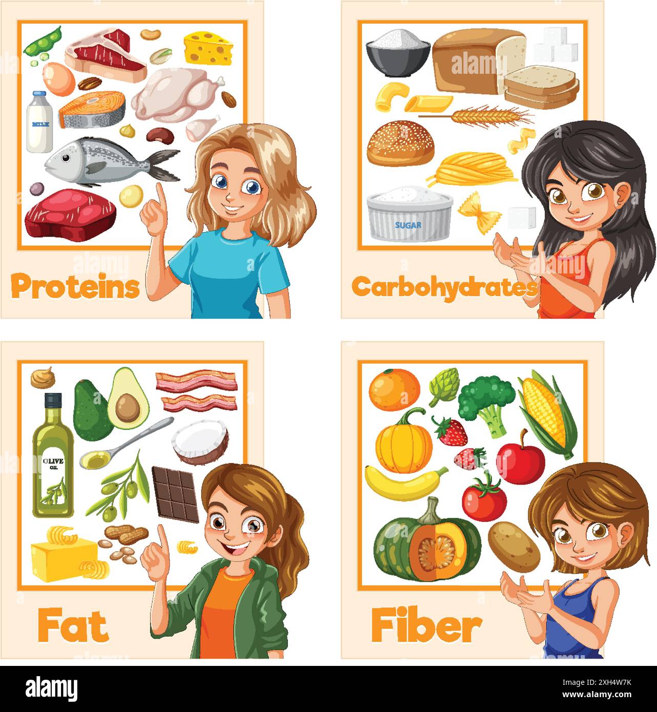 Illustration of proteins, carbohydrates, fats, and fiber Stock Vector ...