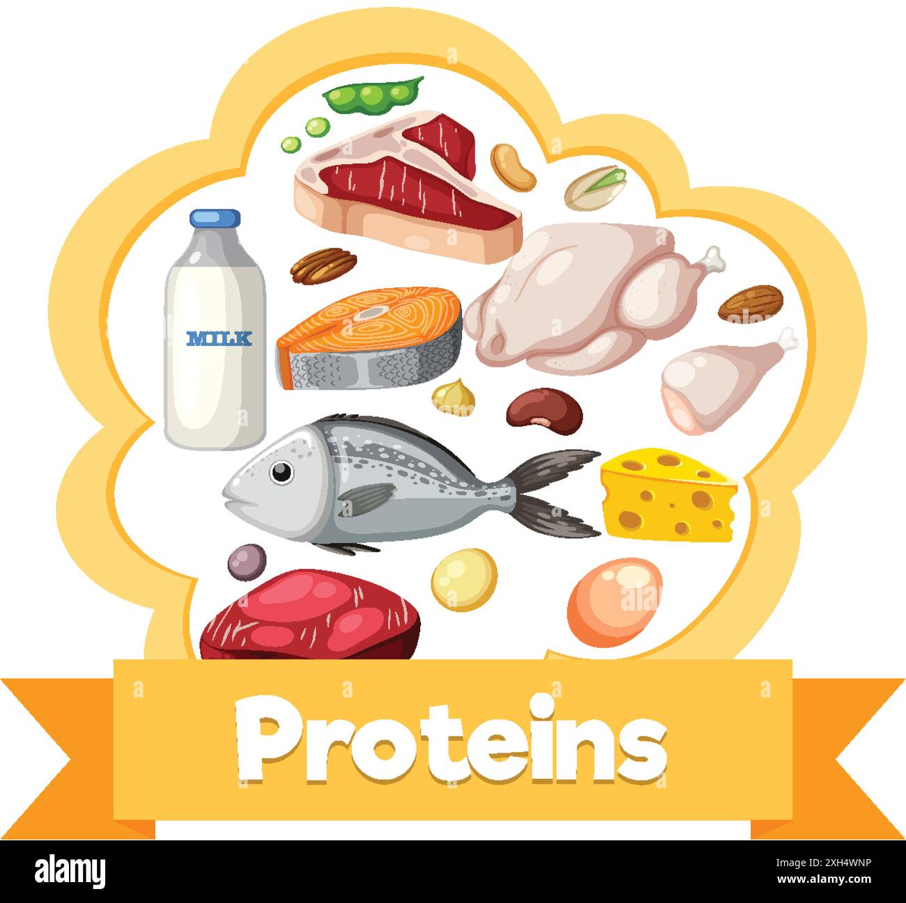 Illustration of diverse protein sources Stock Vector Image & Art - Alamy