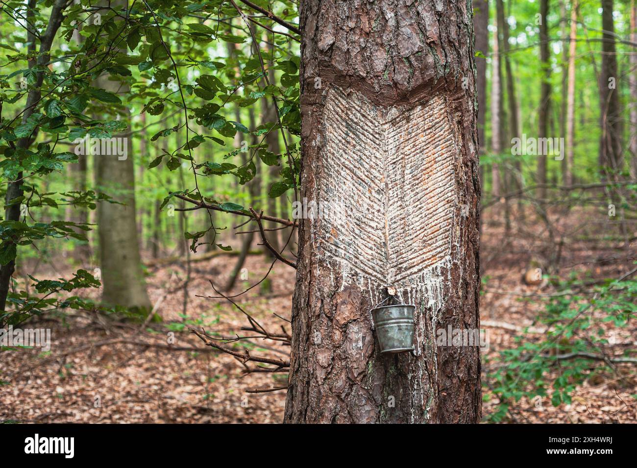 Diagonal cuts hi-res stock photography and images - Alamy