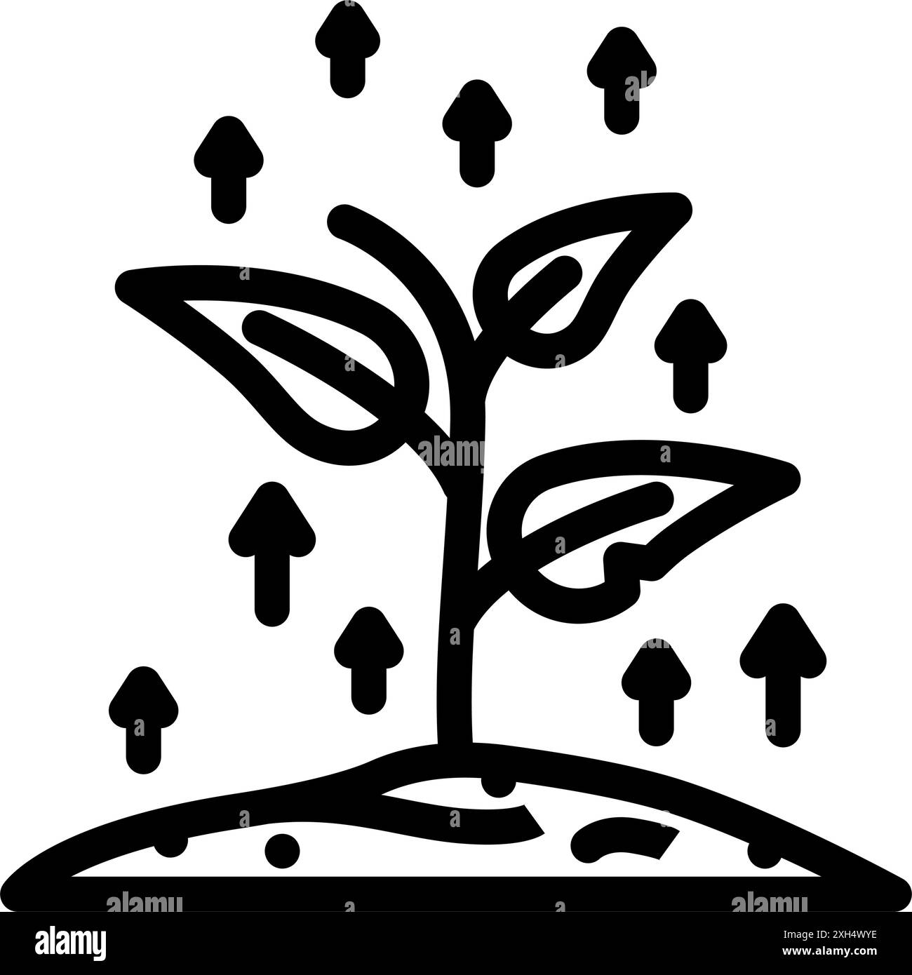 growing plant progress line icon vector illustration Stock Vector Image ...