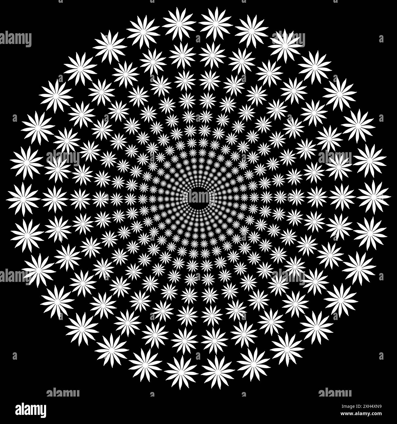 multiple concentric circles made of white flowers on black background ...