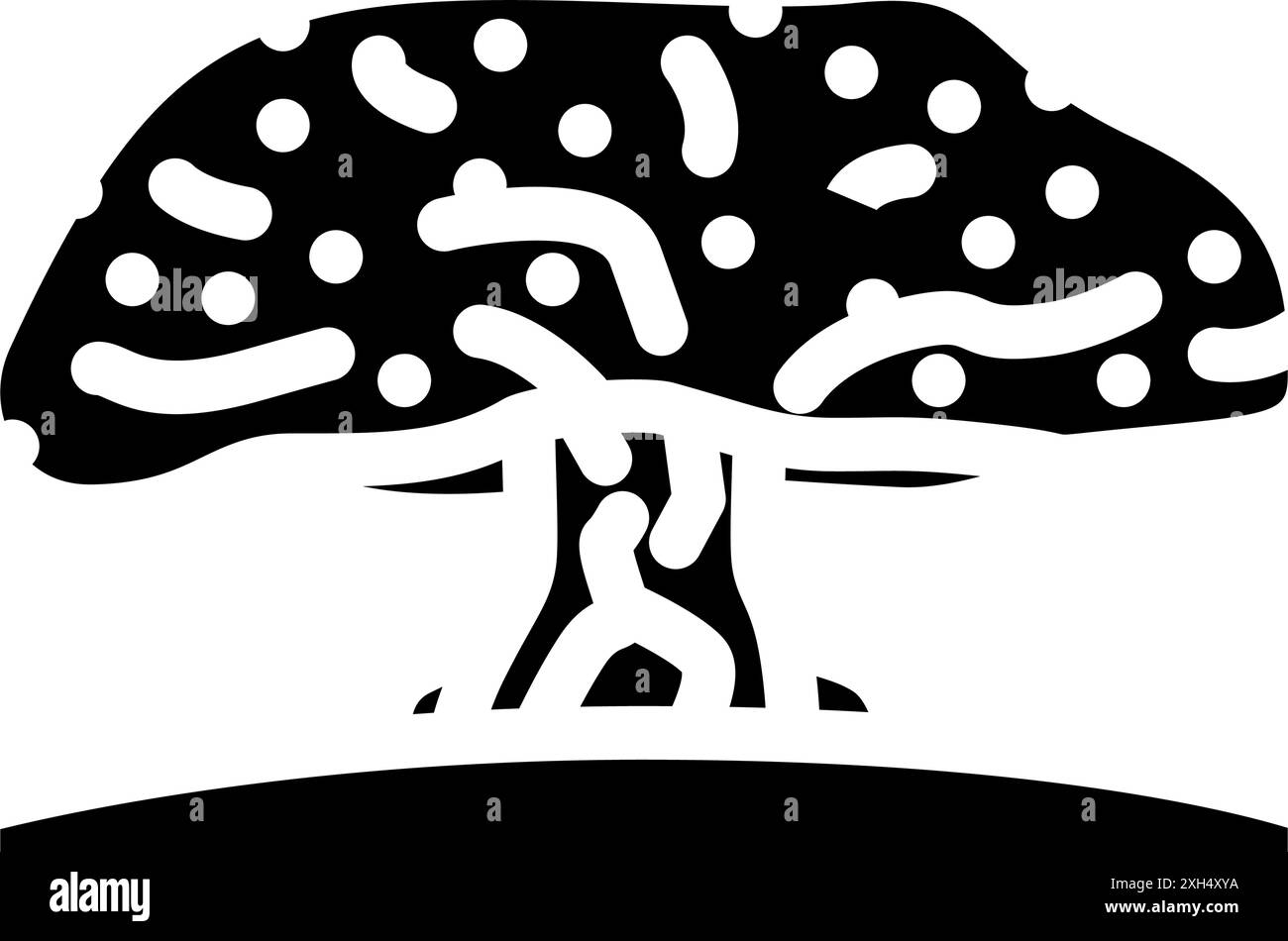 Bodhi tree bangkok Black and White Stock Photos & Images - Alamy