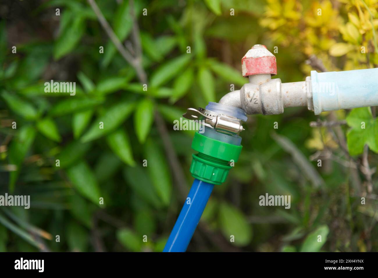 Hose Connector quick connection of hose Stock Photo - Alamy