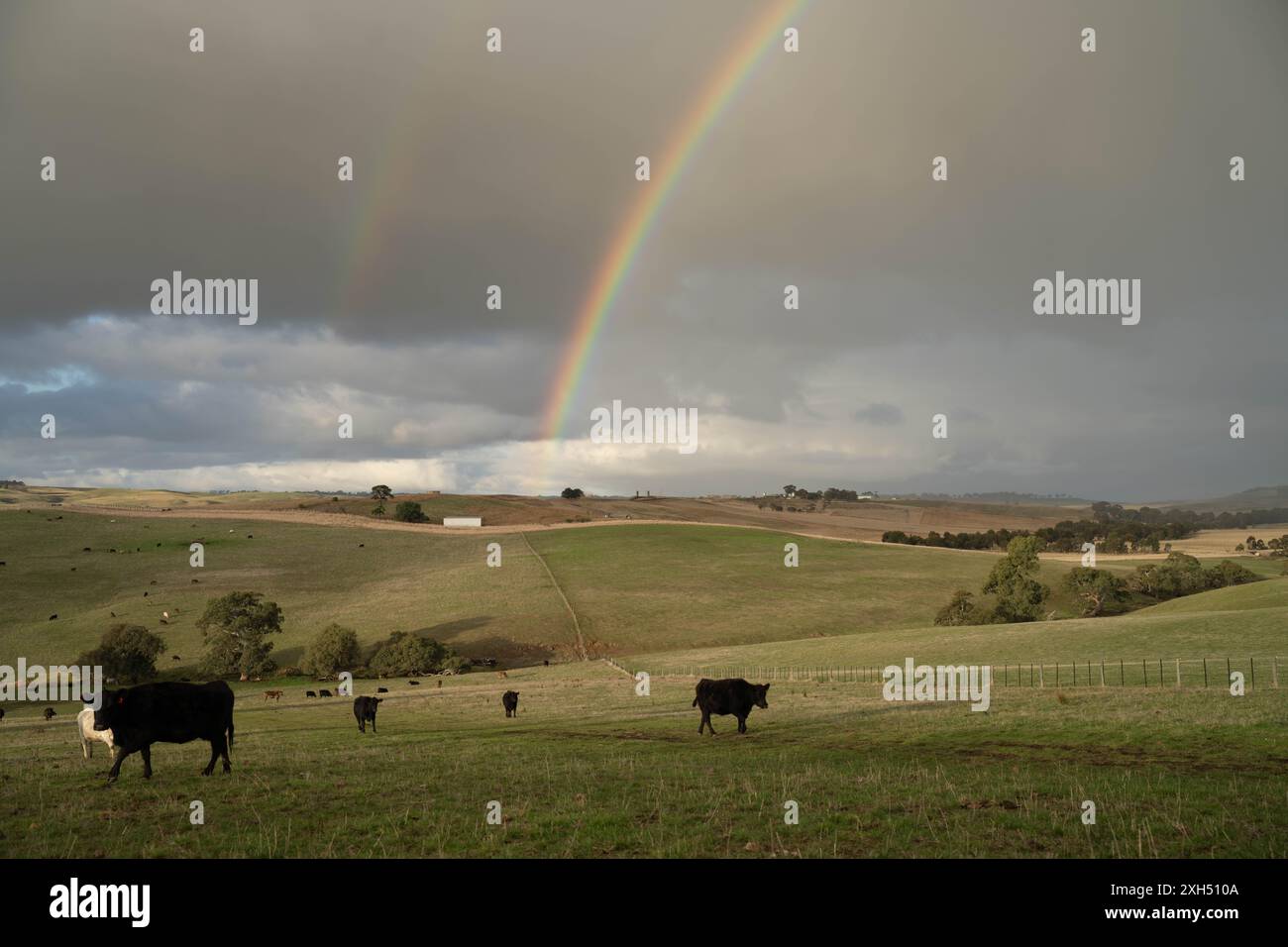 The Future Of Livestock In Australian Agriculture Sustainable Grazing