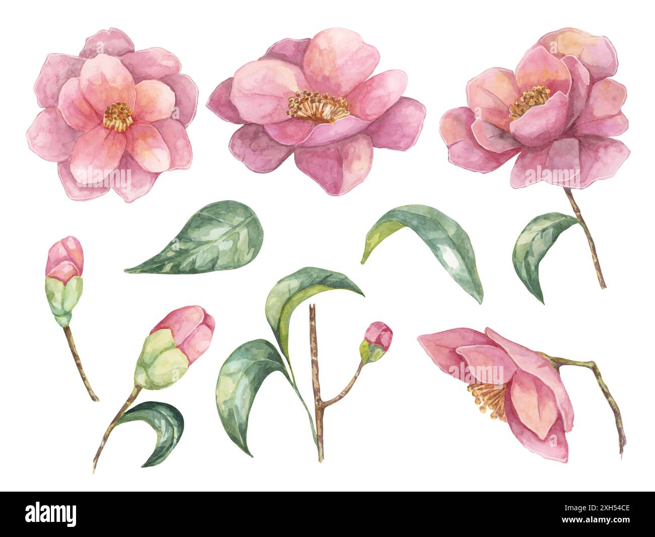 Scrapbooking cliparts Cut Out Stock Images & Pictures - Alamy