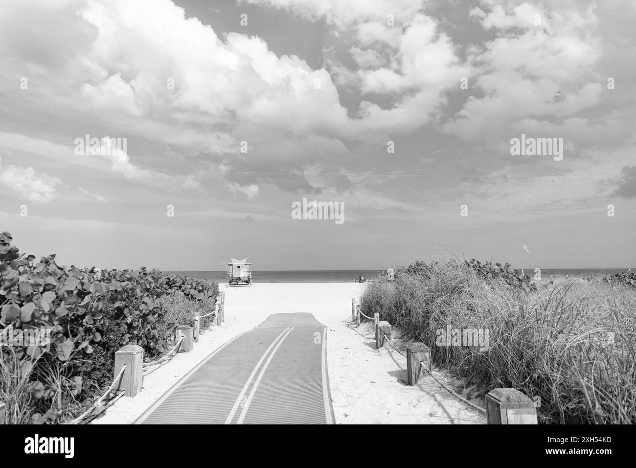 Pathway and miami Black and White Stock Photos & Images - Alamy