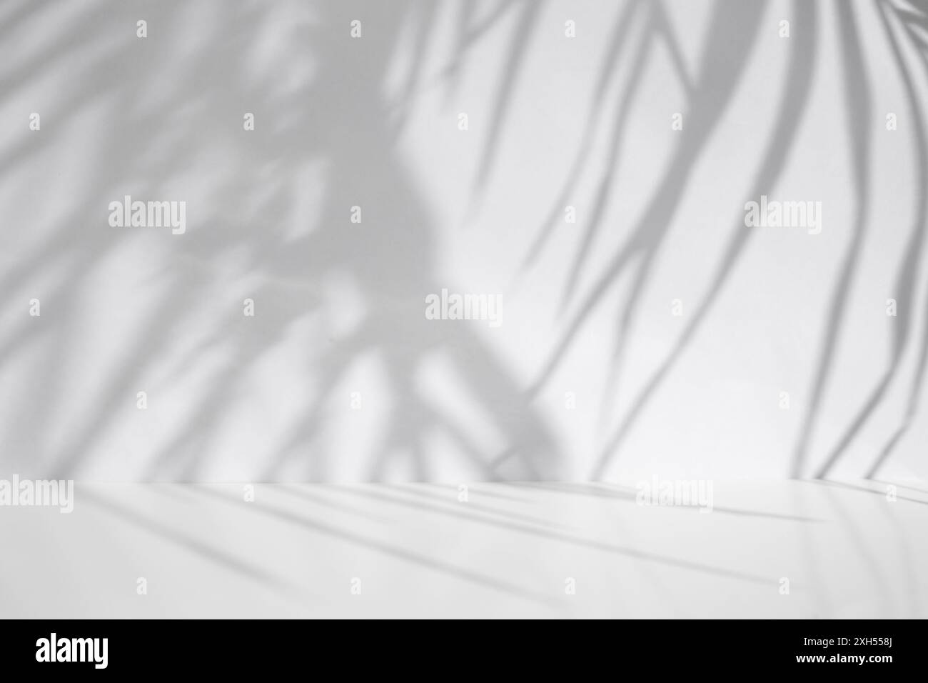 Exotic palm leaves shadows on gray paper background, lush silhouettes ...