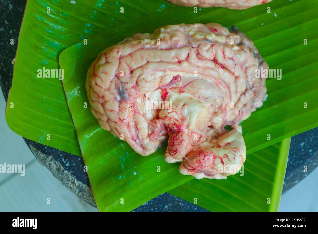 Brain cow is on a green leaf. The Brain cow is cut in half and has a ...