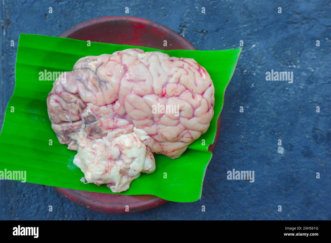 Brain cow is on a green leaf. The Brain cow is cut in half and has a ...