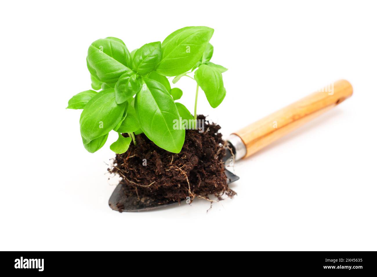 Tilled ground Cut Out Stock Images & Pictures - Alamy