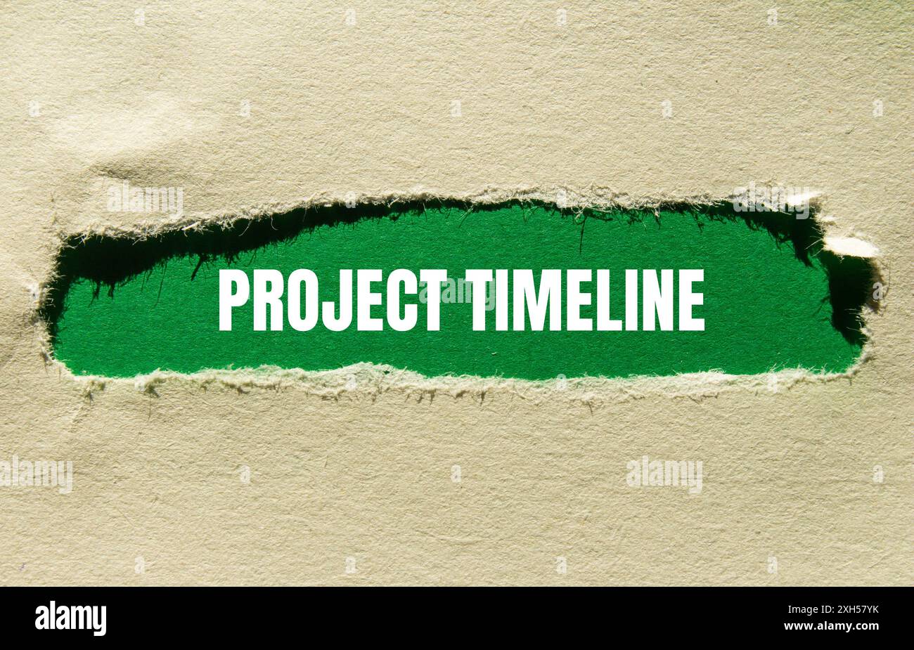 Project timeline message written on ripped torn paper with green ...