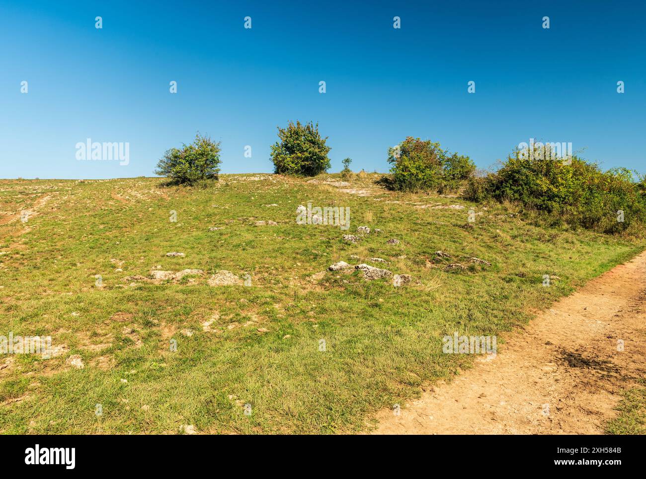 Karst plateau with small limestone pavement, meadow, few shrubs and ...
