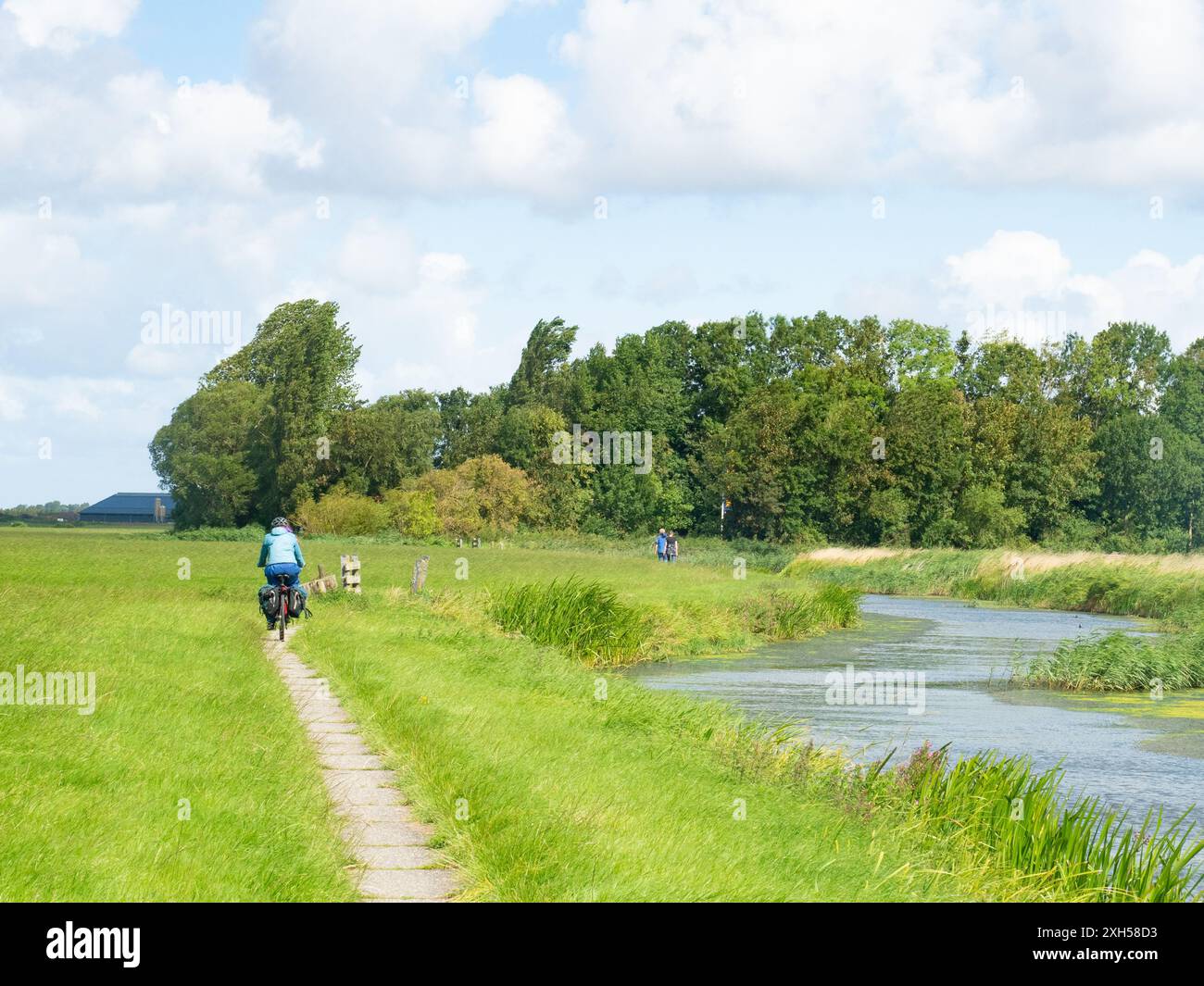 Friesland, Netherlands, August 8th 2023: Cycling on a small trail along ...