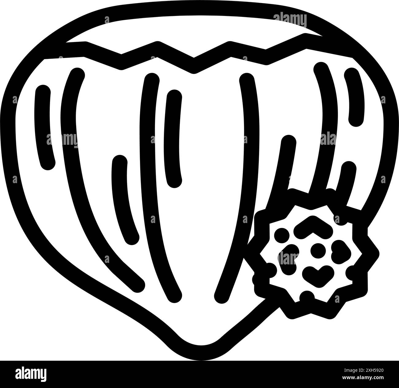 tree nuts allergen free product food line icon vector illustration ...
