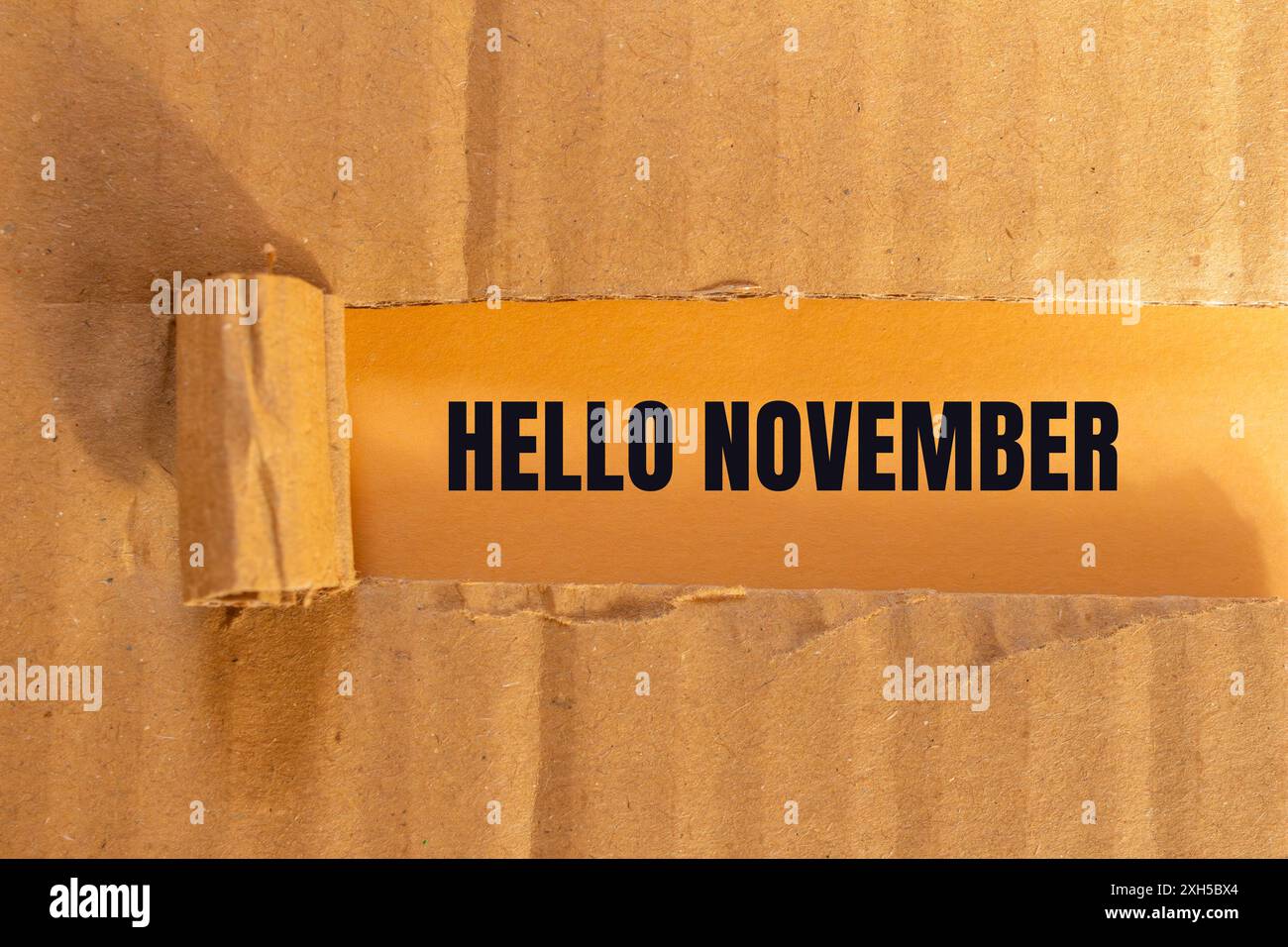 Hello november message written on ripped torn cardboard paper with ...