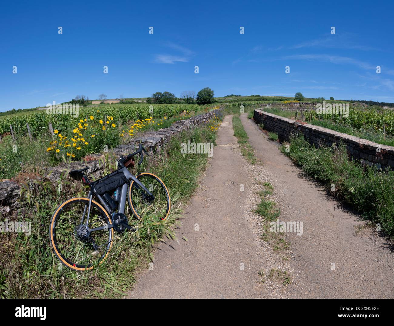 Orbea Gain electric bike parked at a vineyard close to Beaune on the ...