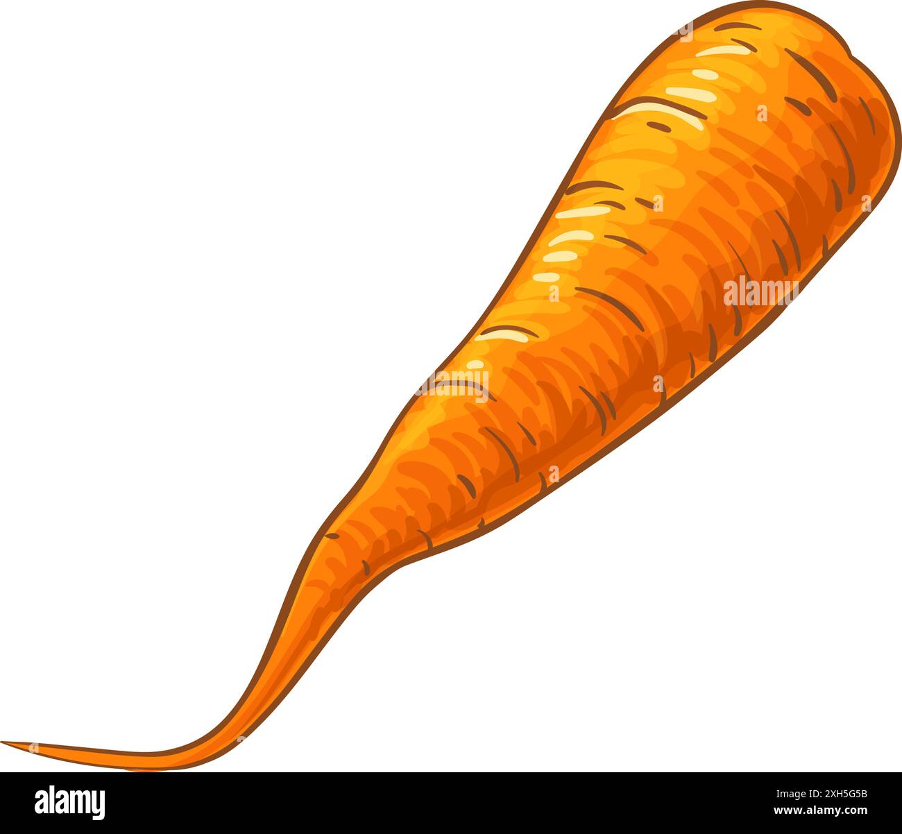 Carrot Root Colored Detailed Illustration Stock Vector Image & Art - Alamy