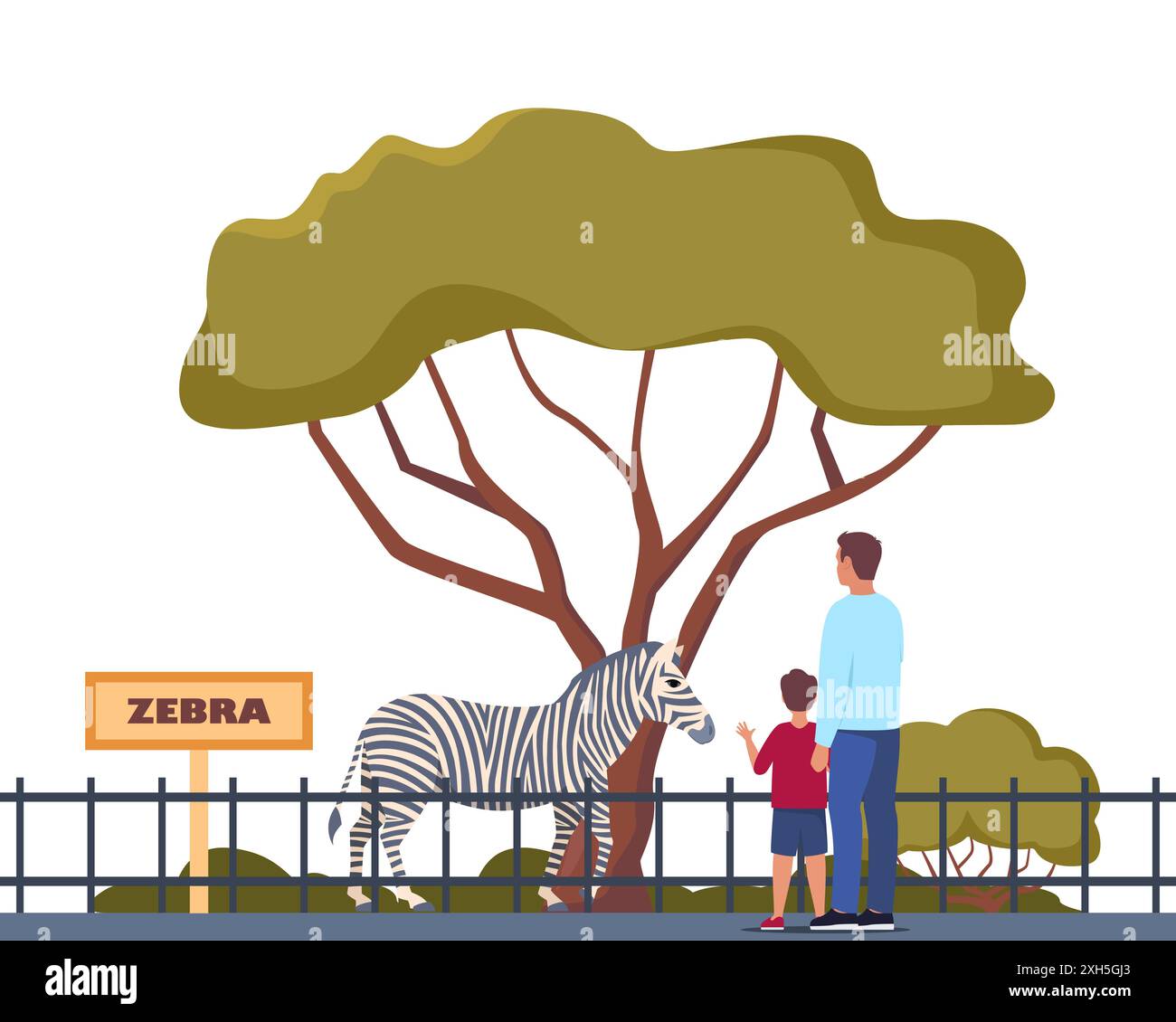 Zebra on territory of wildlife zoo park surrounded by fence. Parent and kid watching animals in ...
