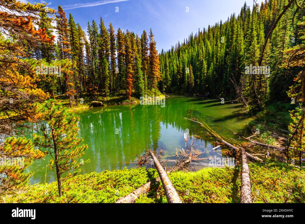 The Rocky Mountains. The view of lovely Moose Lake. Jasper National ...