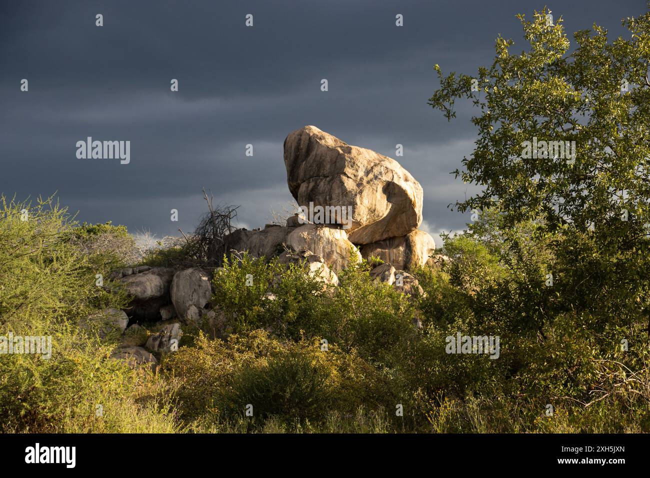 Outcrops of ancient Granite are a feature of the African interior ...