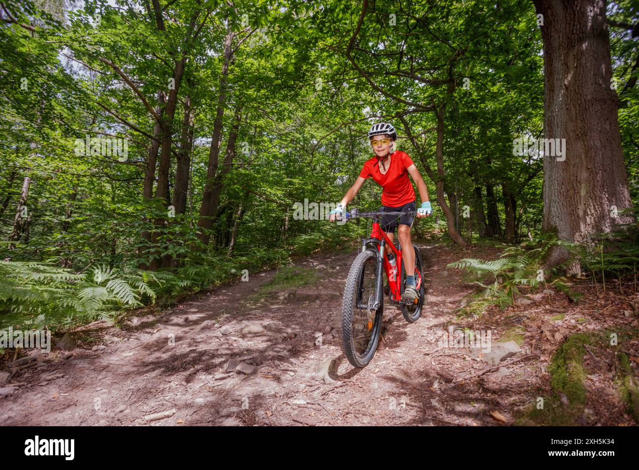 Happy cyclist exploring the mountain forest on professional bike Stock ...