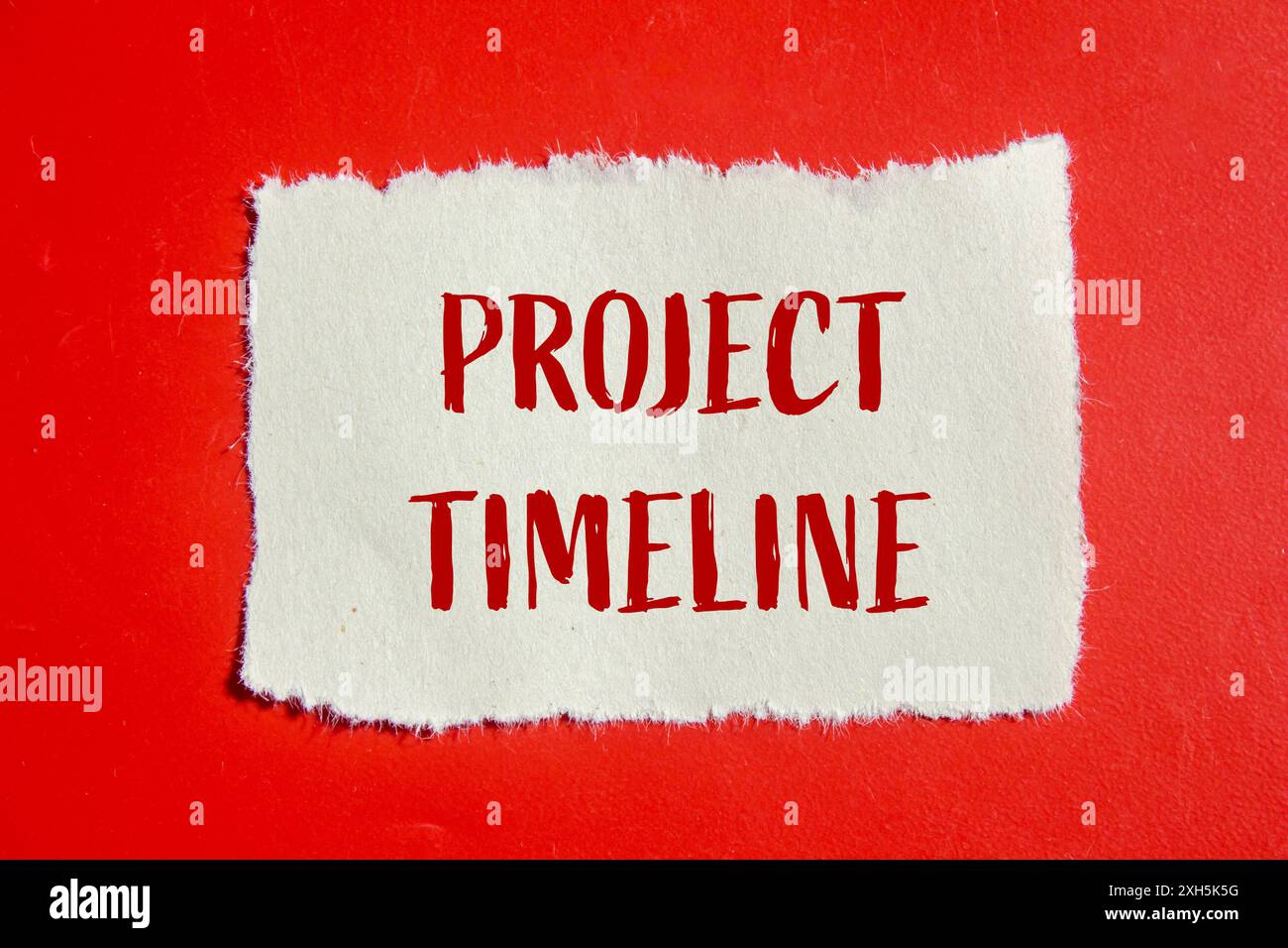 Project timeline message written on ripped torn paper piece with red background. Conceptual ...