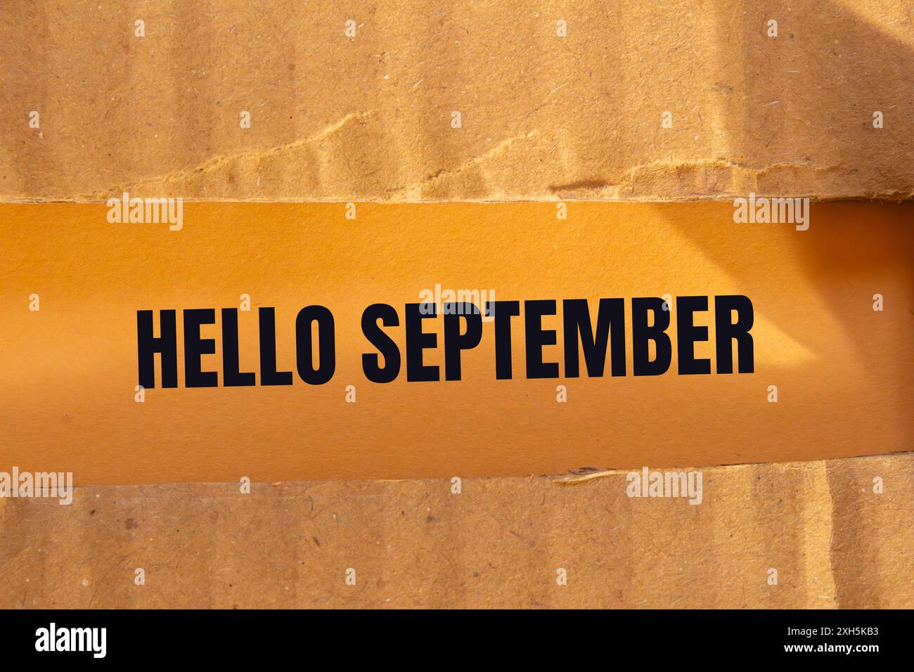 Hello september message written on ripped torn cardboard paper with ...