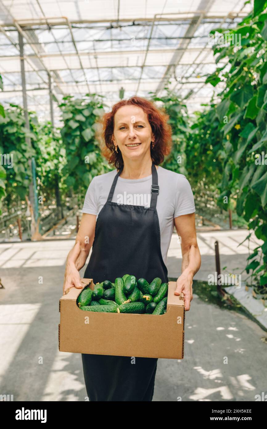 Vertical, Woman standing between rows of growing cucumbers in ...
