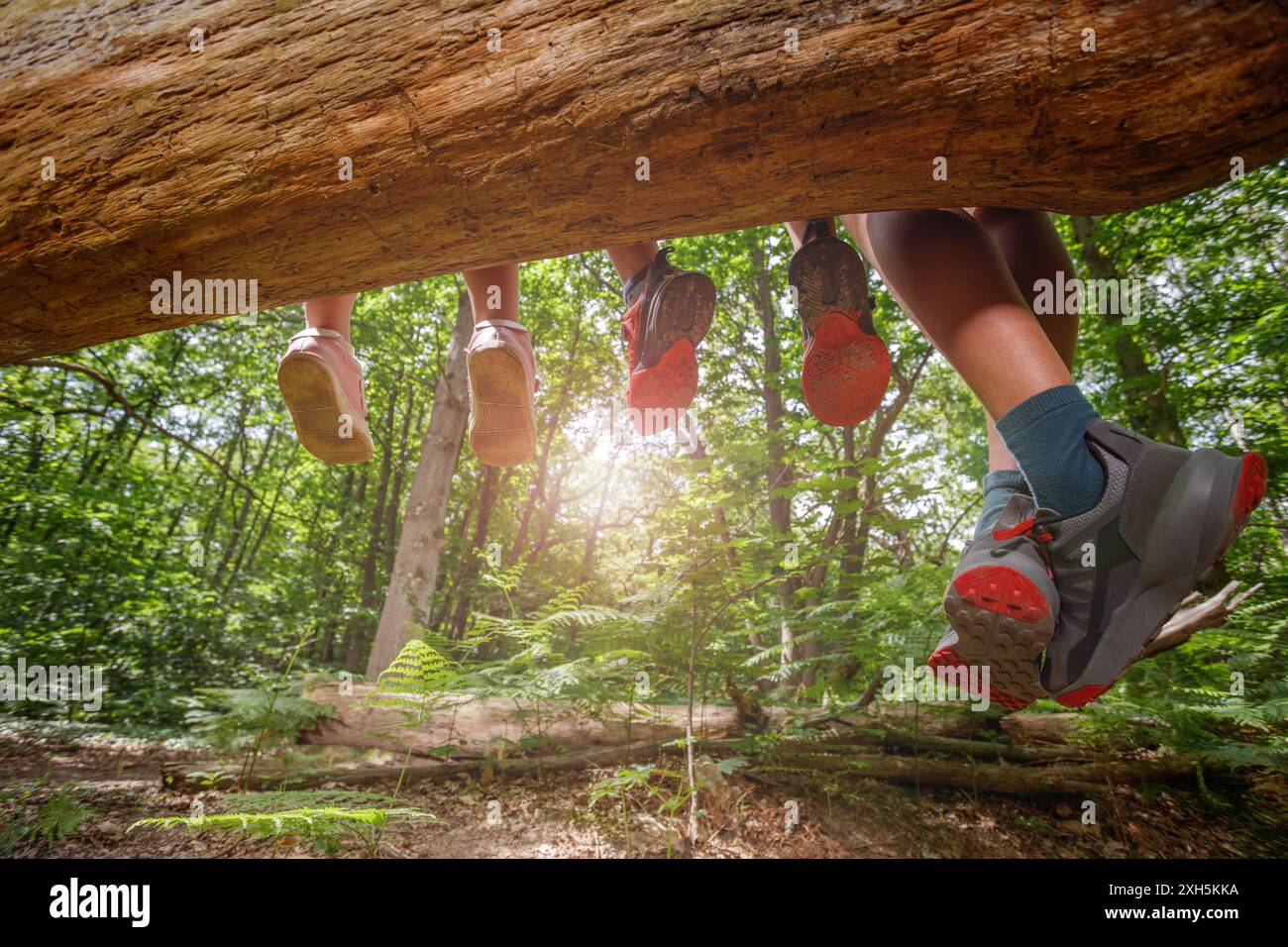 Children friends exploring green forest hi-res stock photography and ...