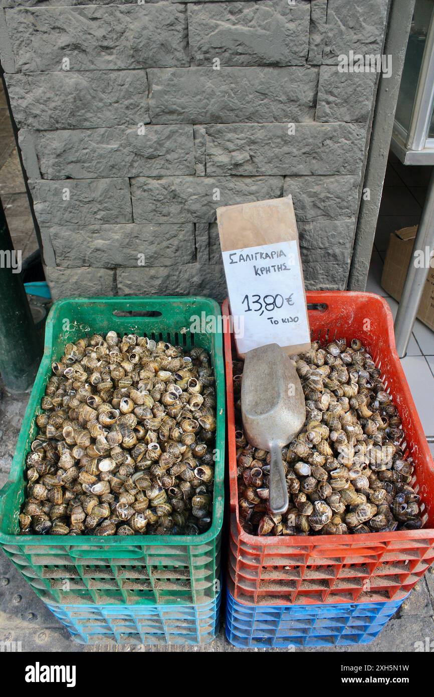 snails for sale in an athens market in greece Stock Photo - Alamy