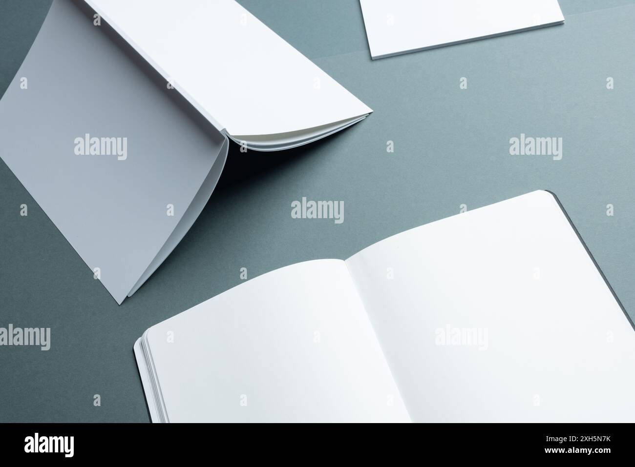 Blank open notebook and pamphlets on a grey background with copy space ...